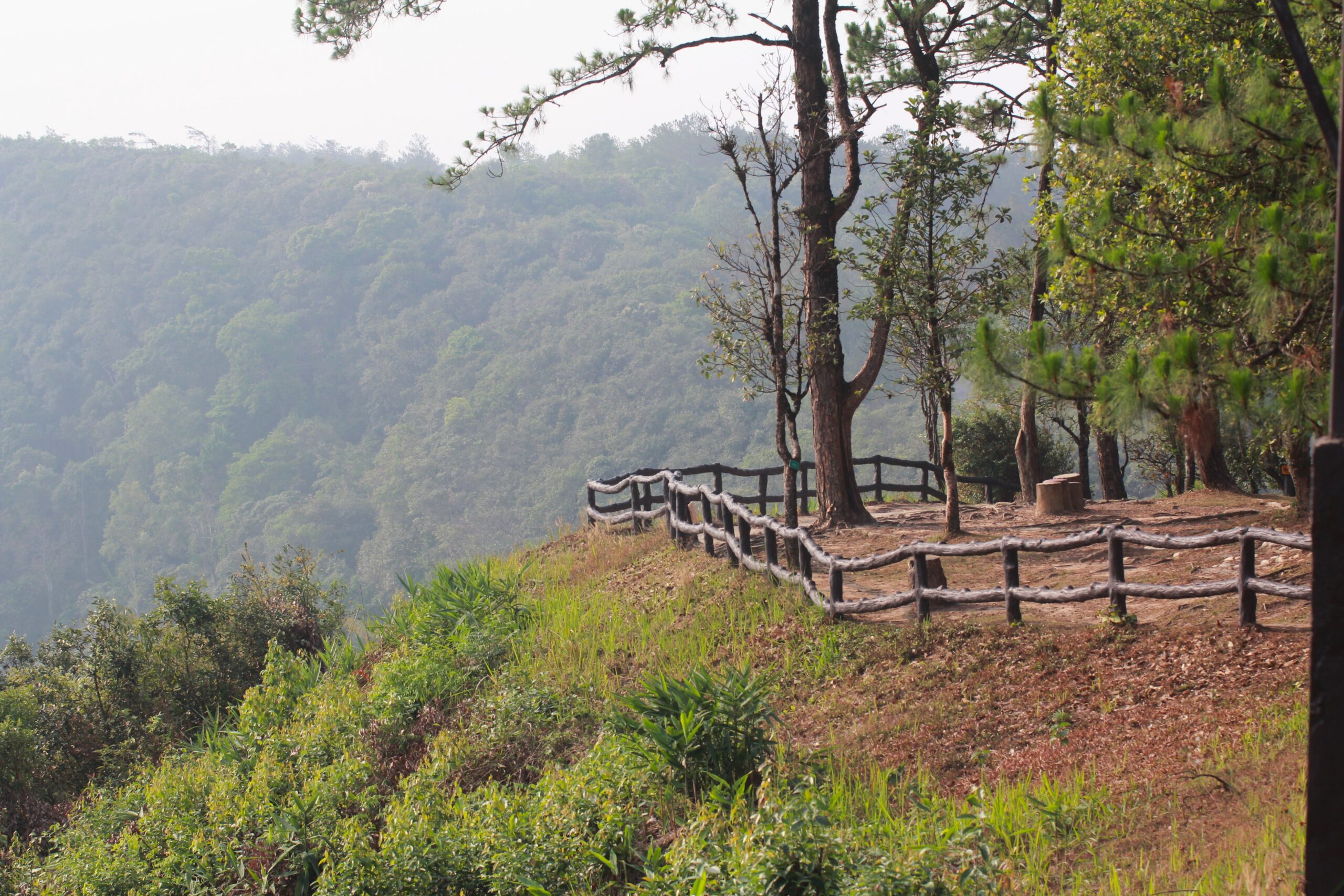 The Coldest Spot in Thailand: Exploring Phu Ruea National Park with ...