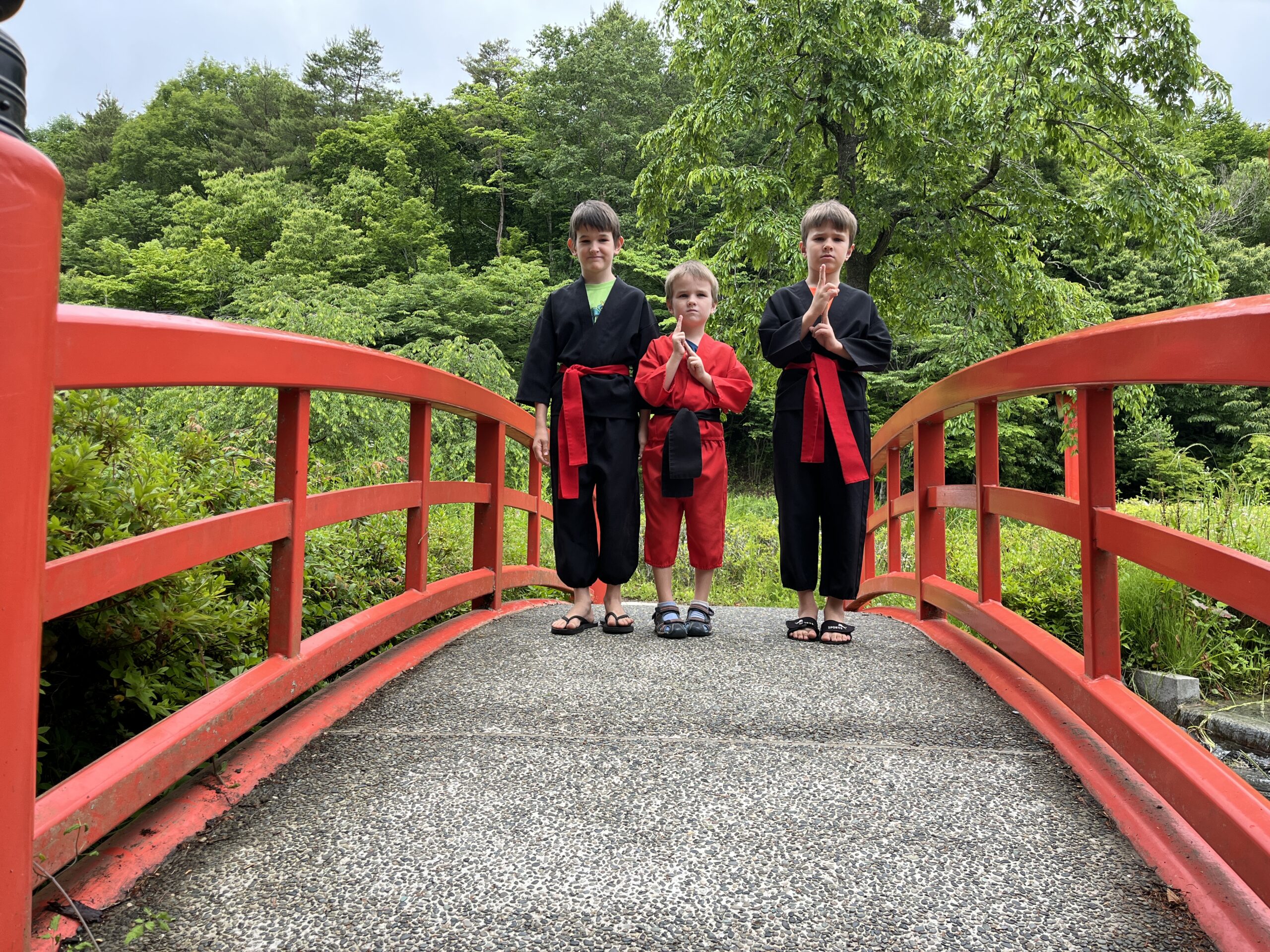 Stepping Into the World of Ninja: A Families Guide to Oshino Ninja ...